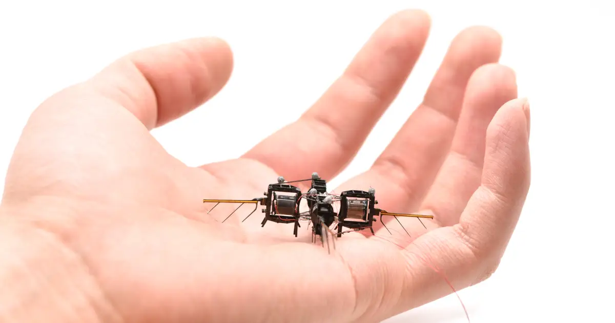 Robotic Pollinators: MIT Debuts Robot Insect | Cosmico